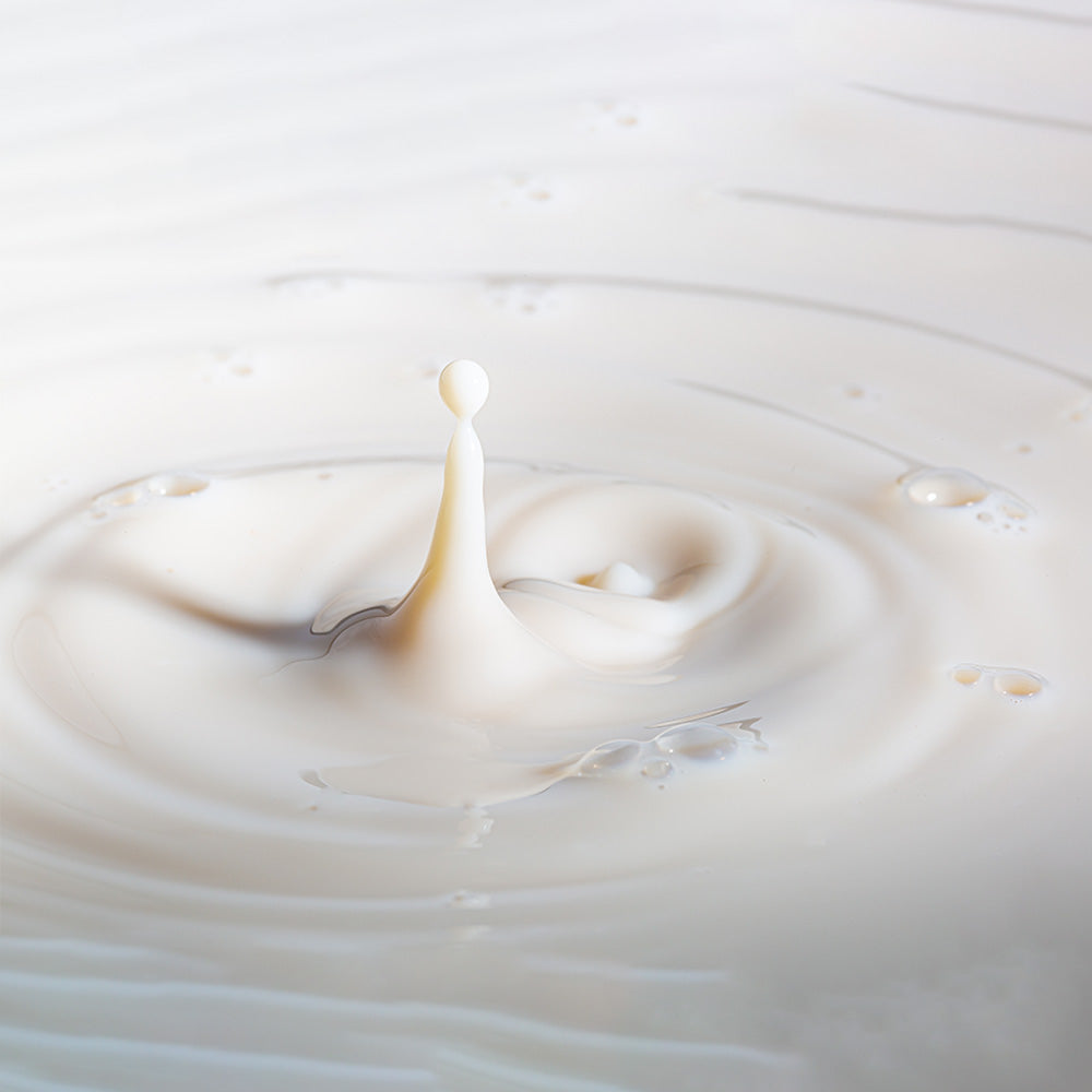 Why Milk Toner Is Replacing Watery Toners – DODOSKIN