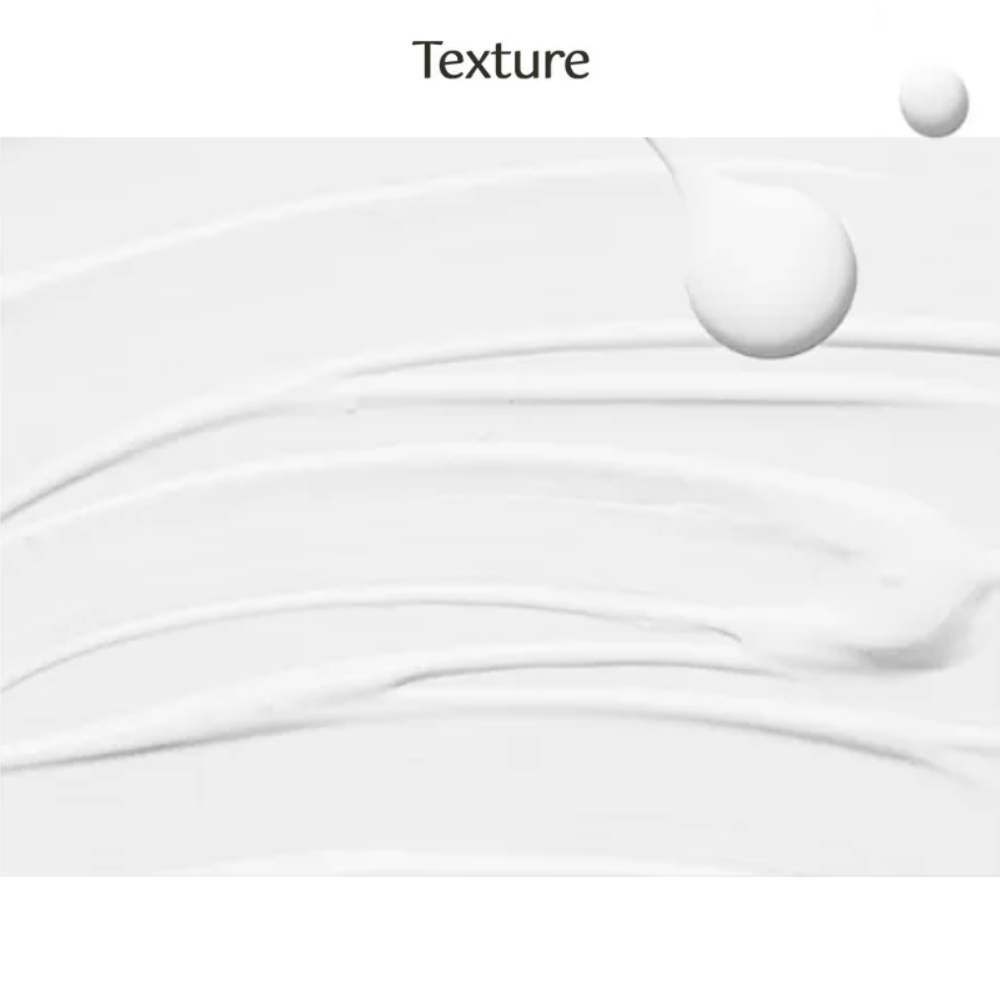 Isa Knox UV Sun Pro Sun Cushion SPF 50+ PA+++ 23g | DODO SKIN – DODOSKIN