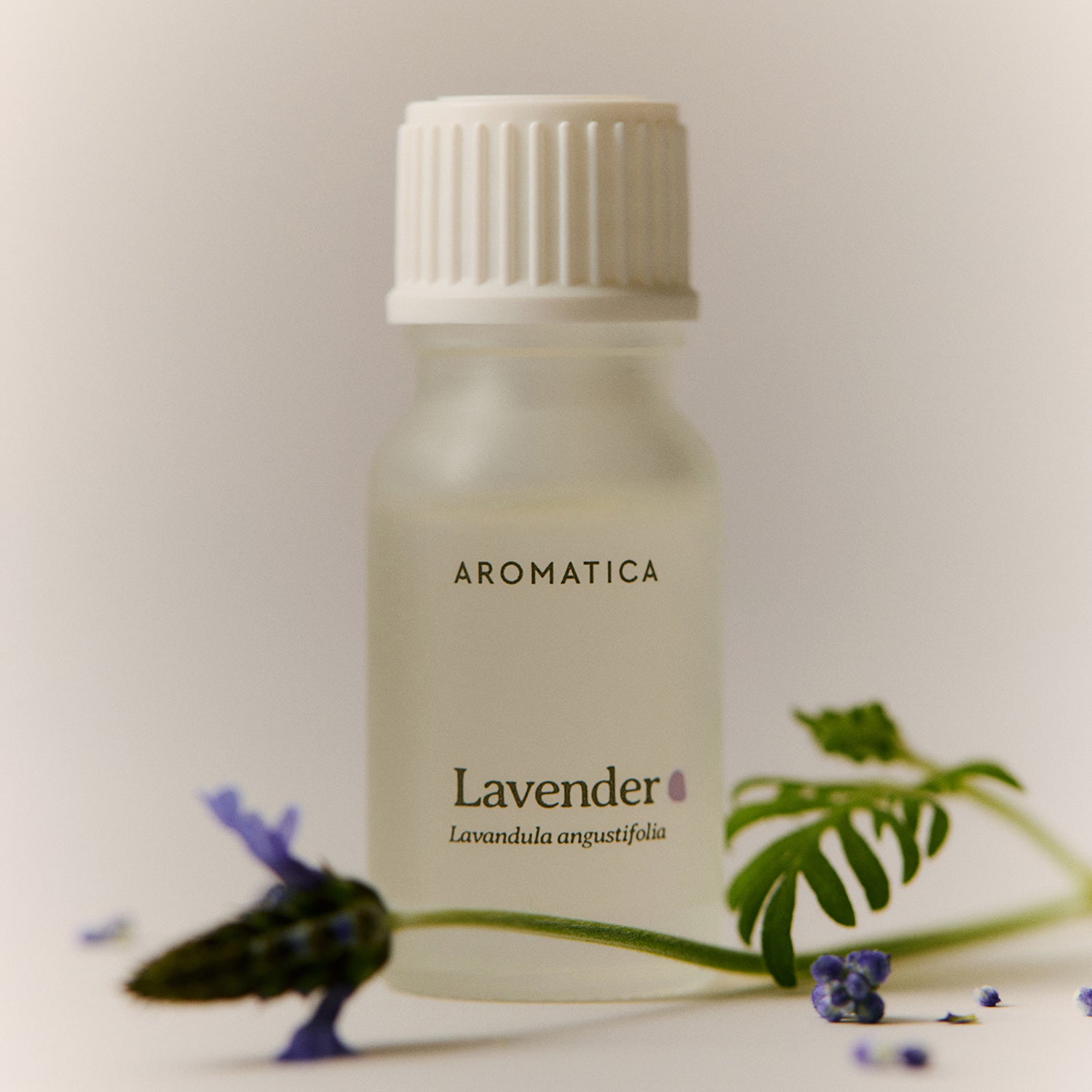 AROMATICA Essential Oil 10ml 4 Types | DODO SKIN – DODOSKIN