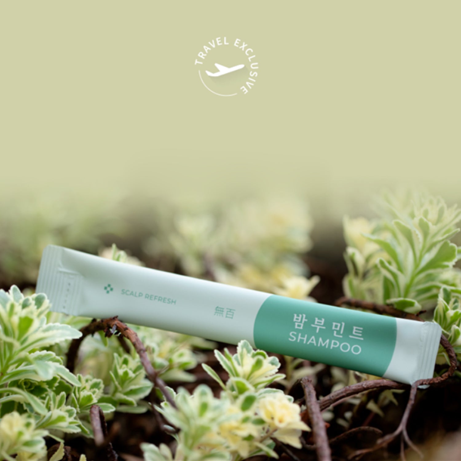 MOO100 Bamboo Mint Shampoo Travel Stick Pouch 10ml × 10pcs | DODO SKIN ...