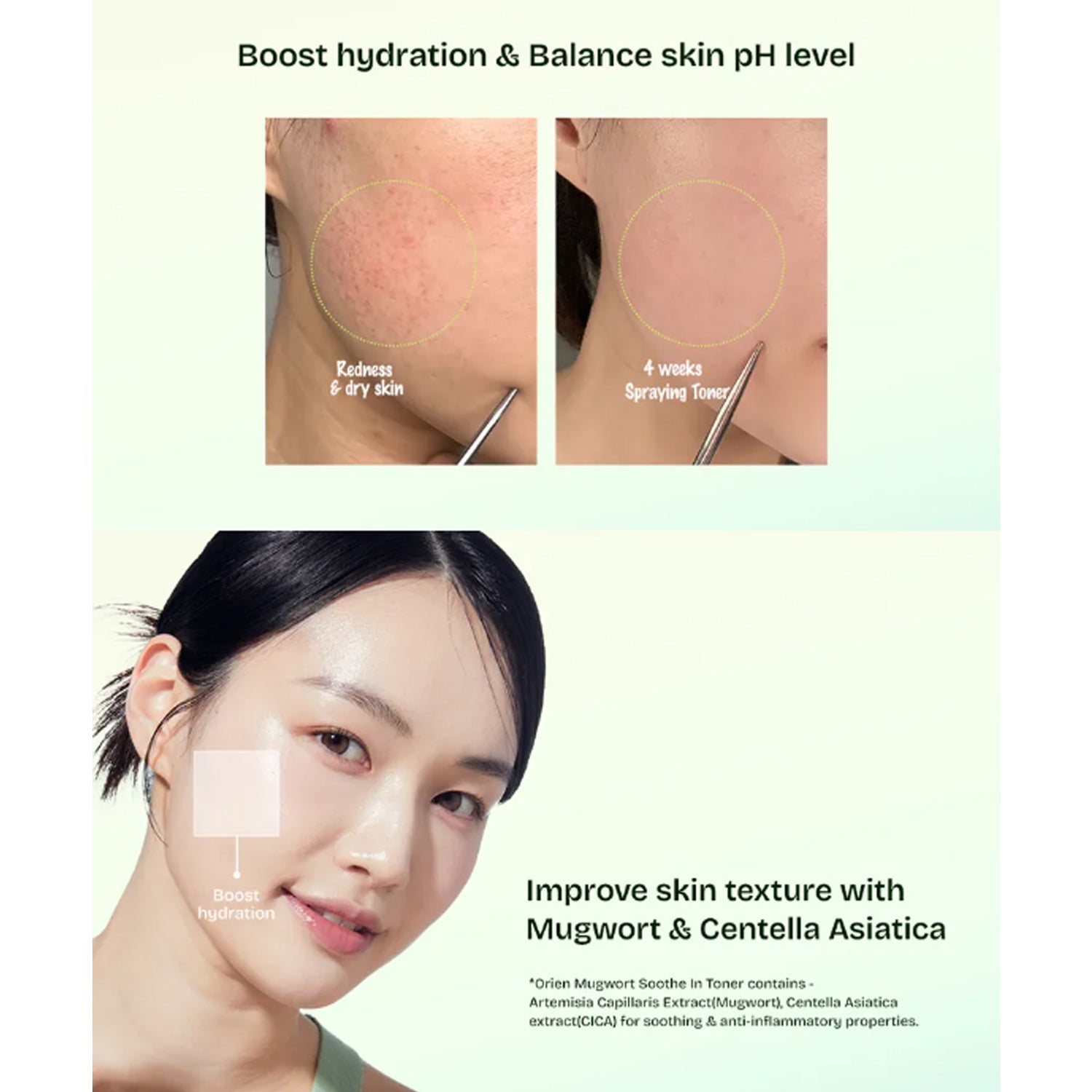 Orien Mugwort Soothe In Toner 160ml | DODO SKIN – DODOSKIN