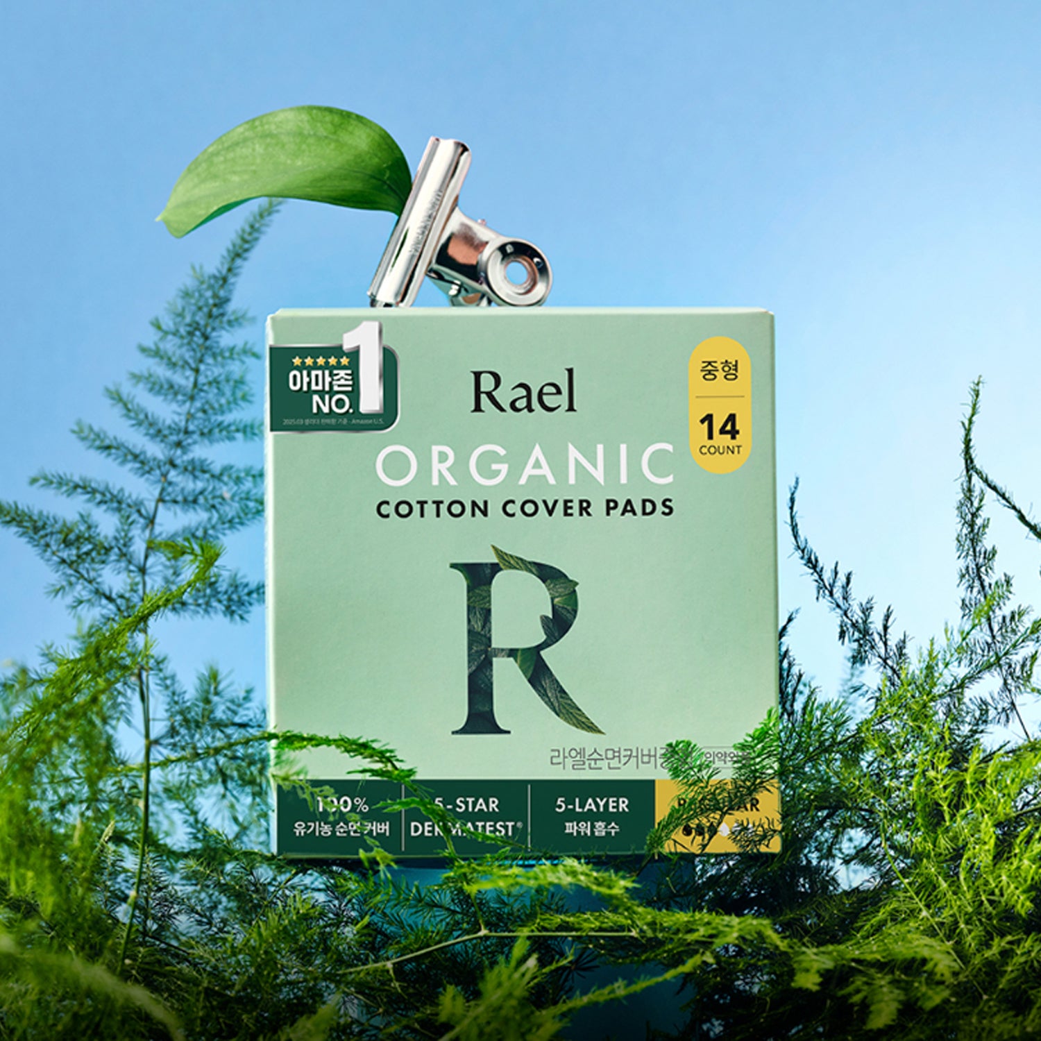 Rael Organic Cotton Cover Sanitary Pads 6-Pack Set (Large) | DODO SKIN ...