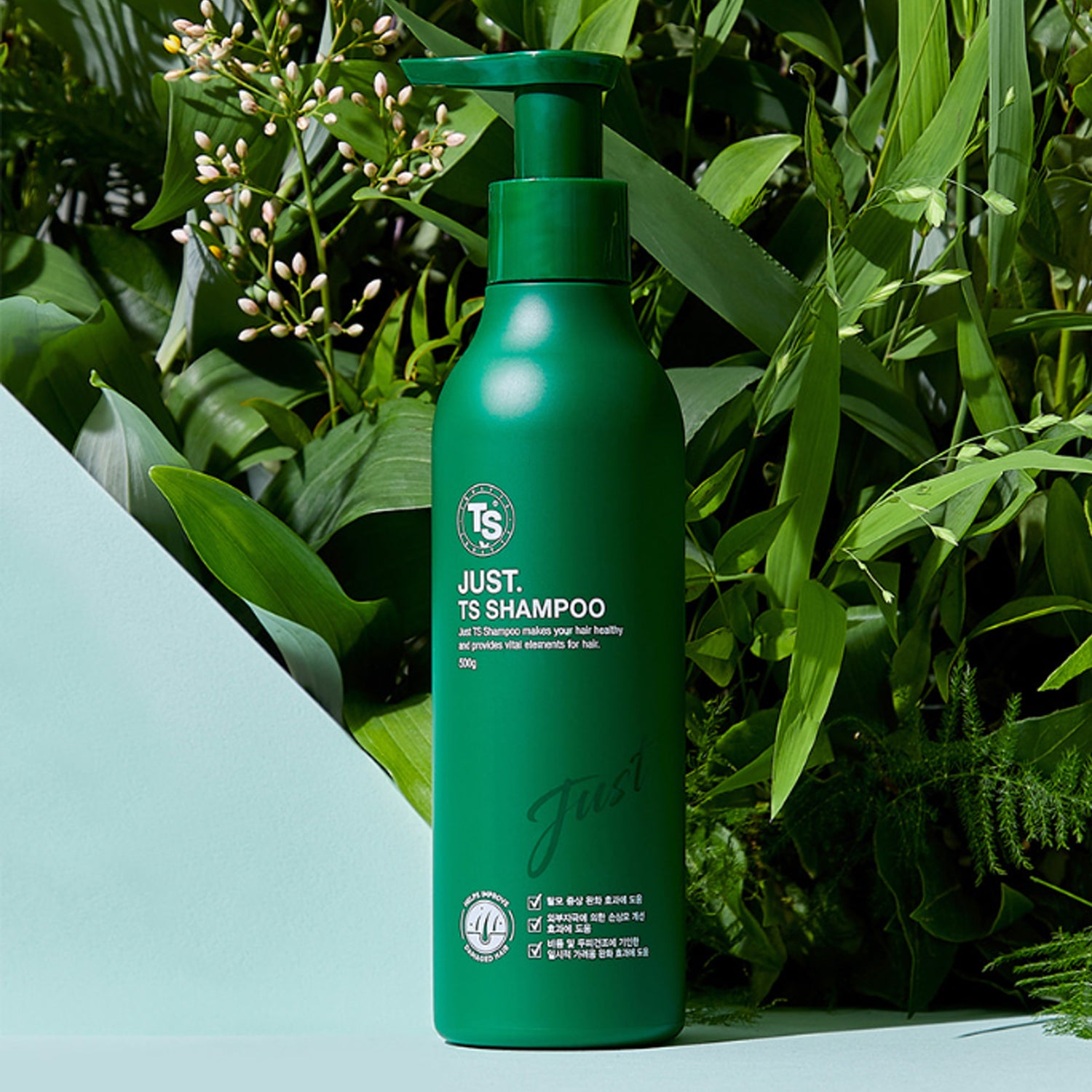 TS TRILLION Just TS Shampoo 500g | DODO SKIN – DODOSKIN