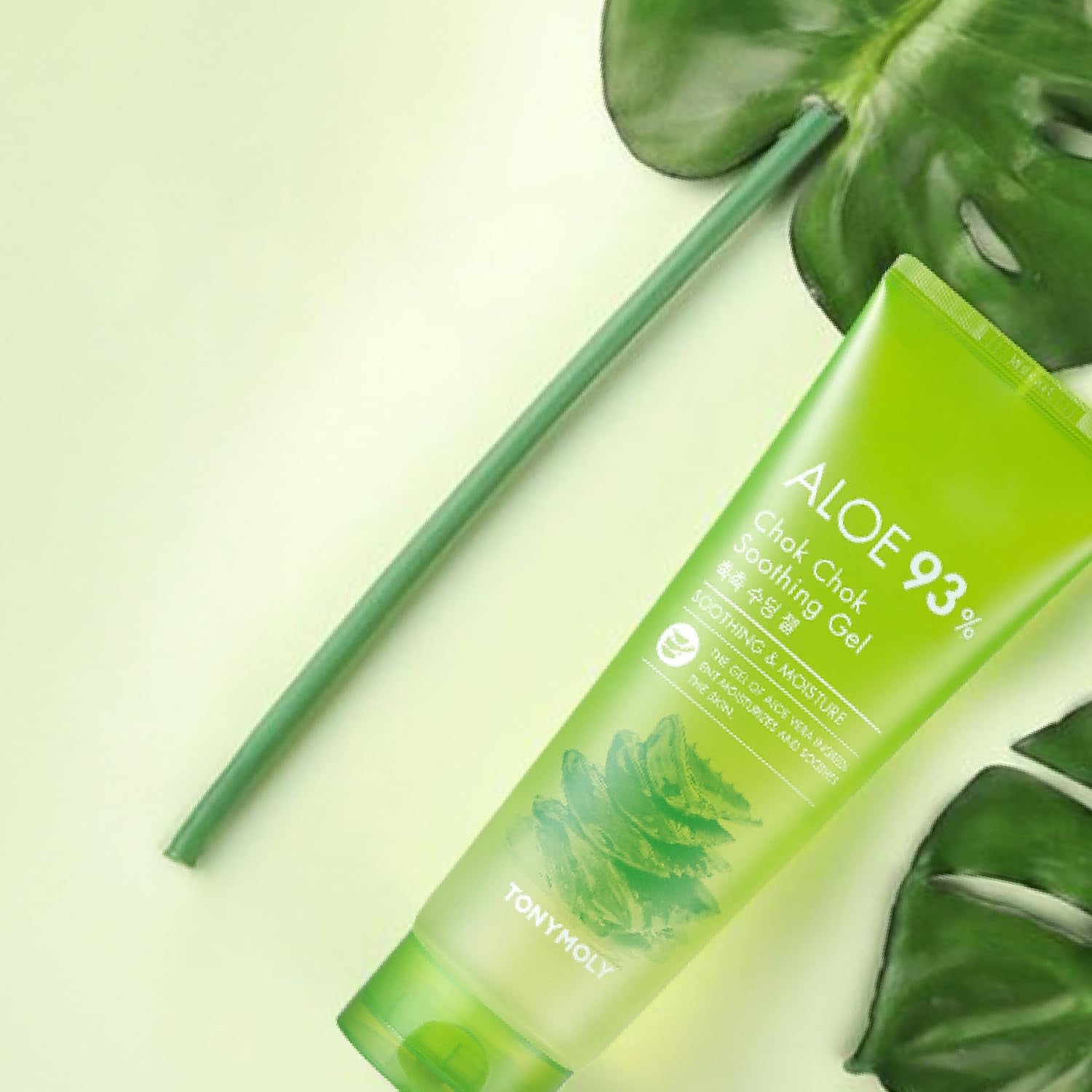 TONYMOLY Aloe 93% Chok Chok Soothing Gel 250ml | DODO SKIN – DODOSKIN