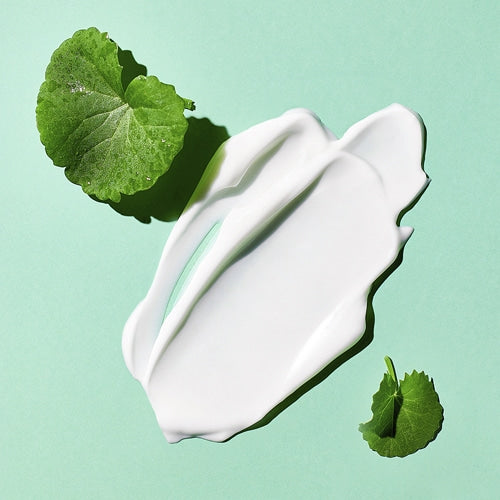 dewdap Cicatea Calming Aqua Sun Cream 50g | DODO SKIN – DODOSKIN